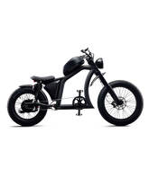 FR555 - Black Electric Bike with Suspension | Flight Risk